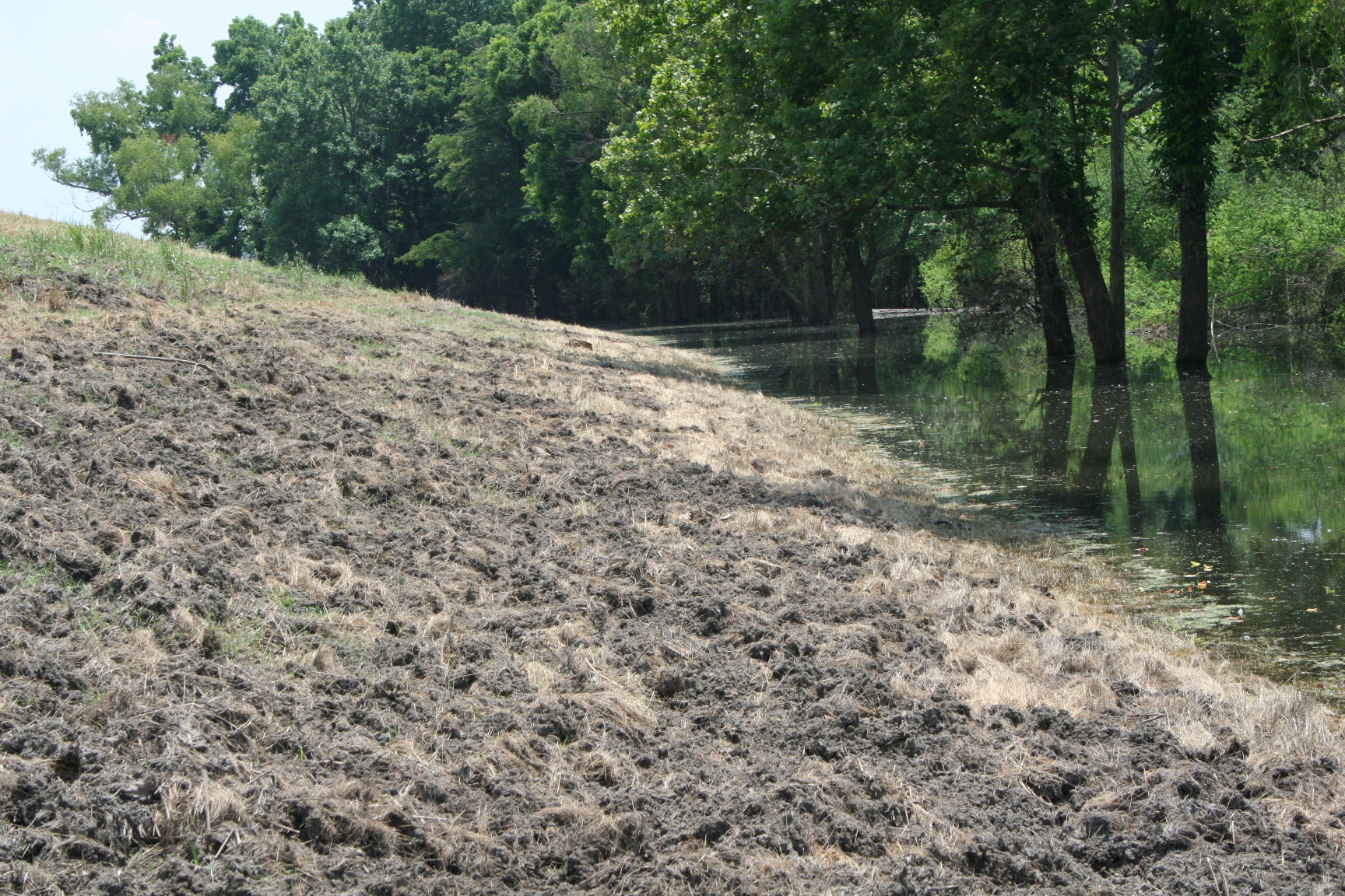 Gallery - National Wild Pig Task Force